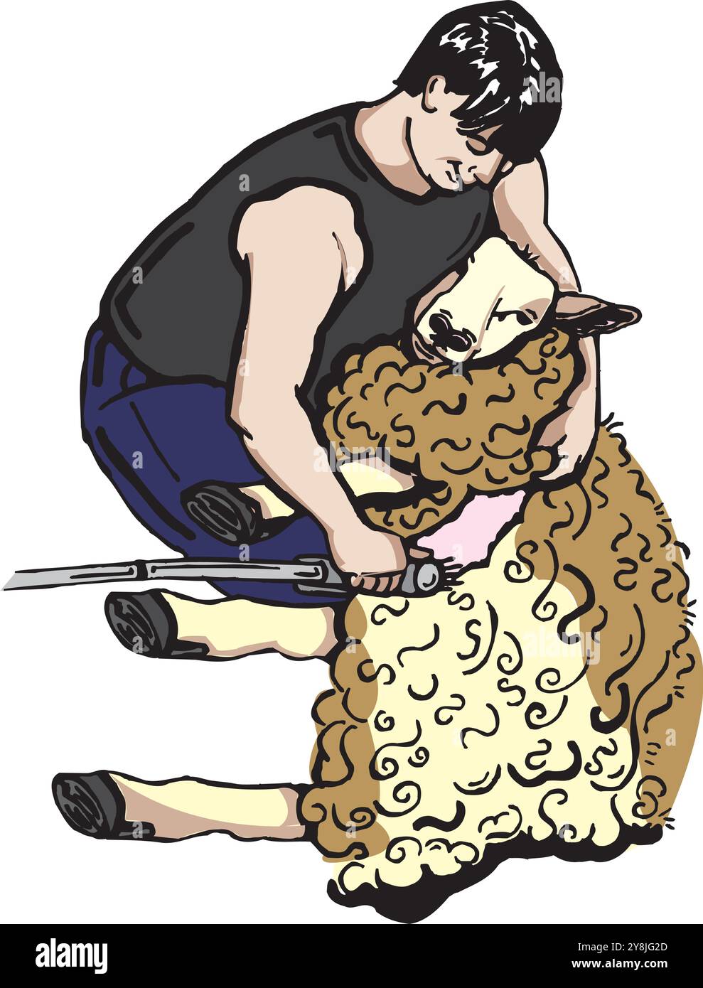 Farm composition with human character of worker shearing the sheep ...