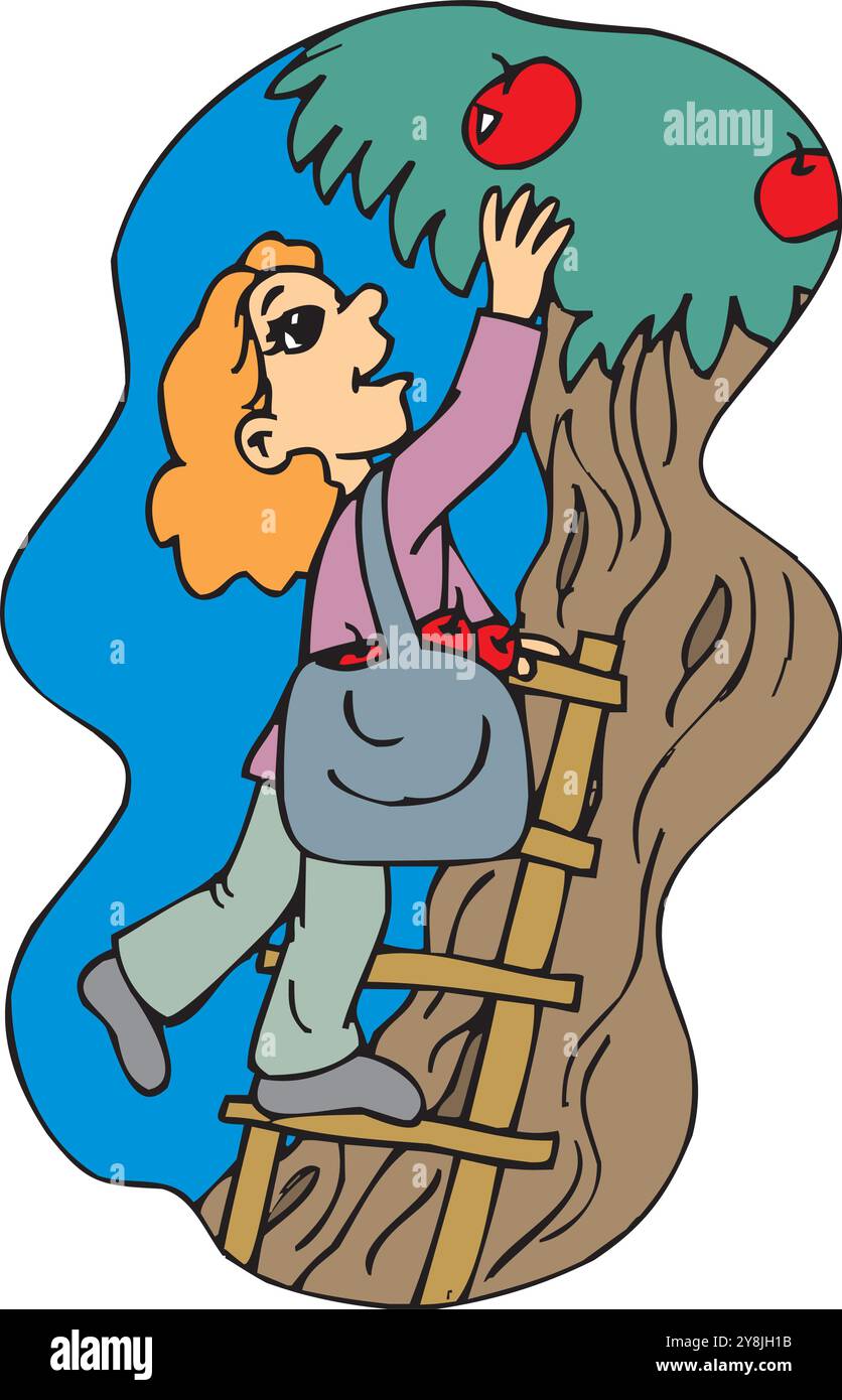 girl on ladder hand picking red apples harvesting fruit tree in orchard ...