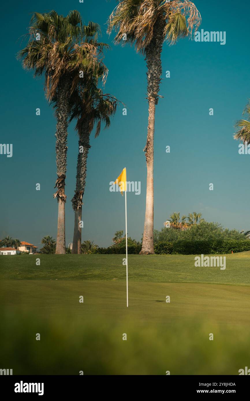 Golf course flag, green flag pin, golf resort hole, exotic golfing ...