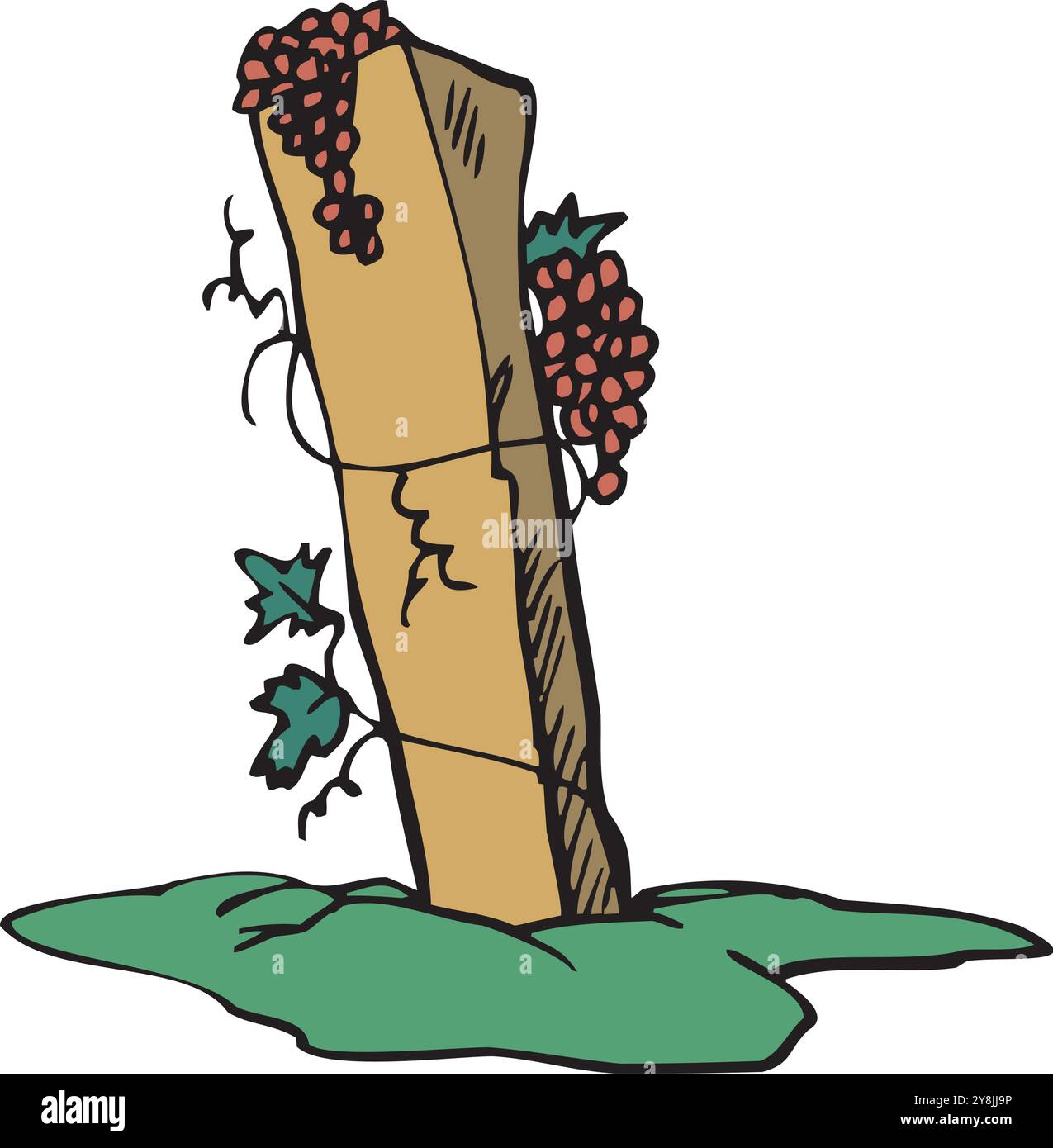 Grapevine - vector illustration. Design element with a twisting vine ...
