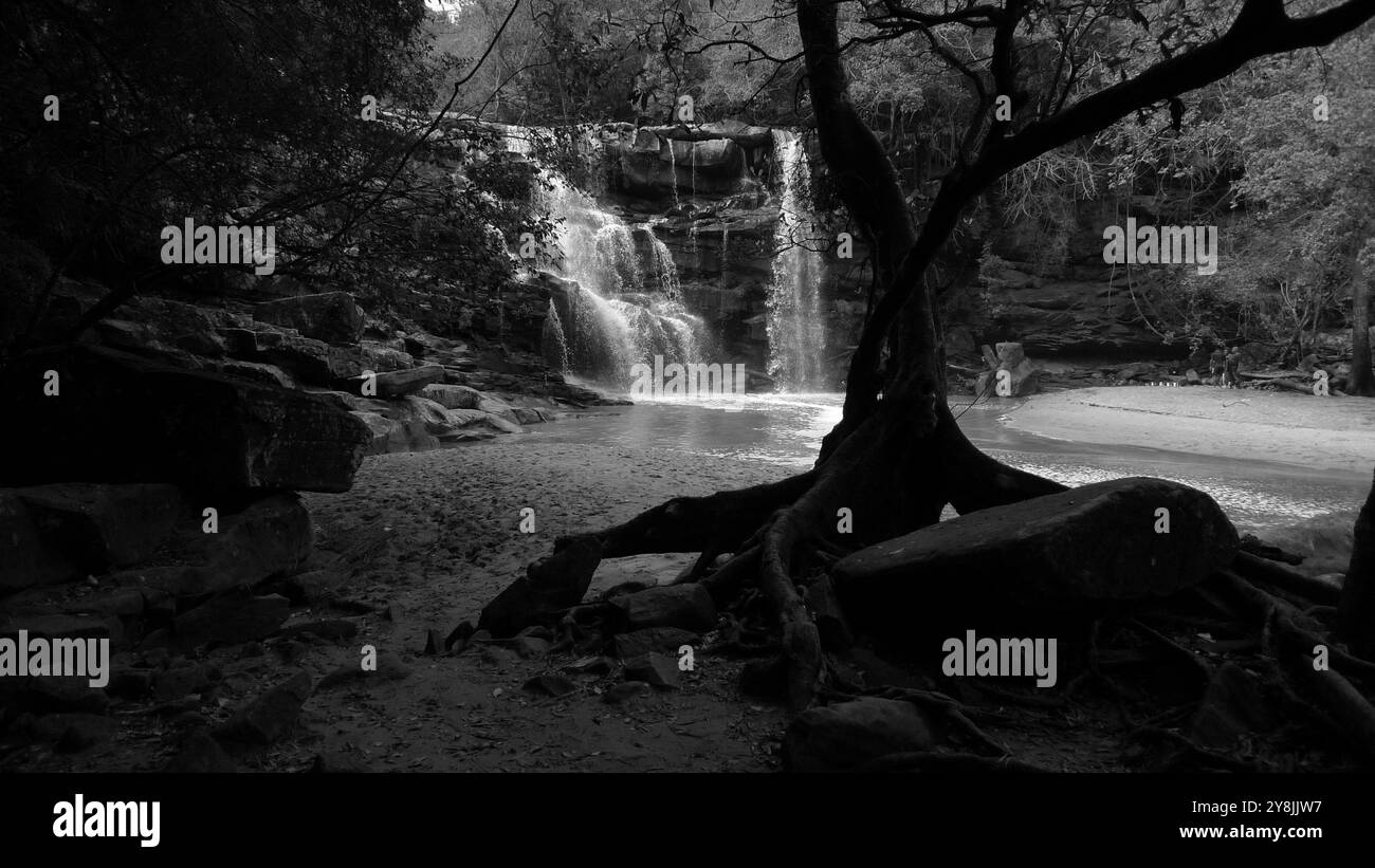 Pinetown hi-res stock photography and images - Alamy