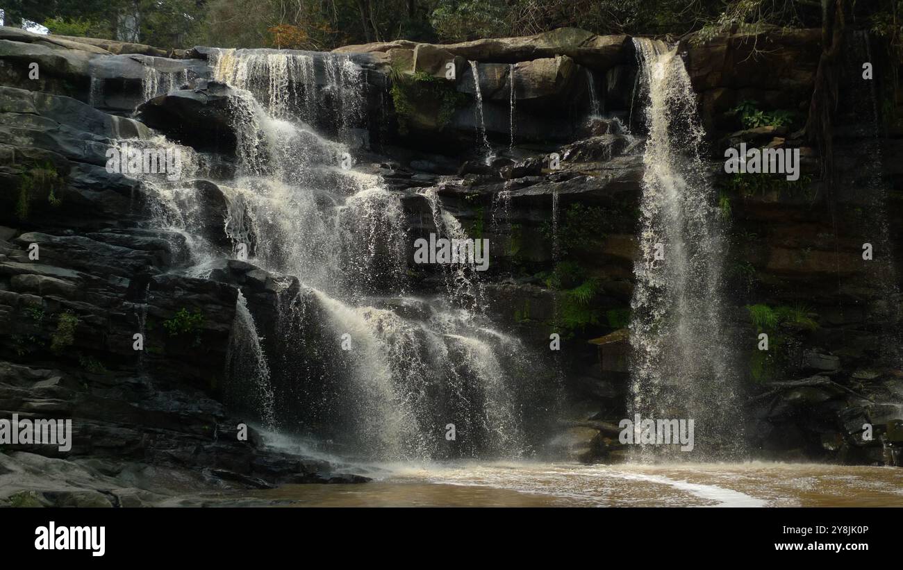 Pinetown hi-res stock photography and images - Alamy