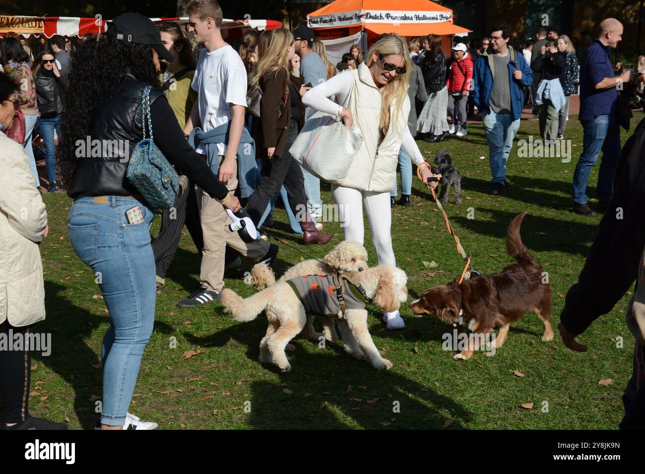 Chelsea Dog Day 5th October 2024 Stock Photo - Alamy