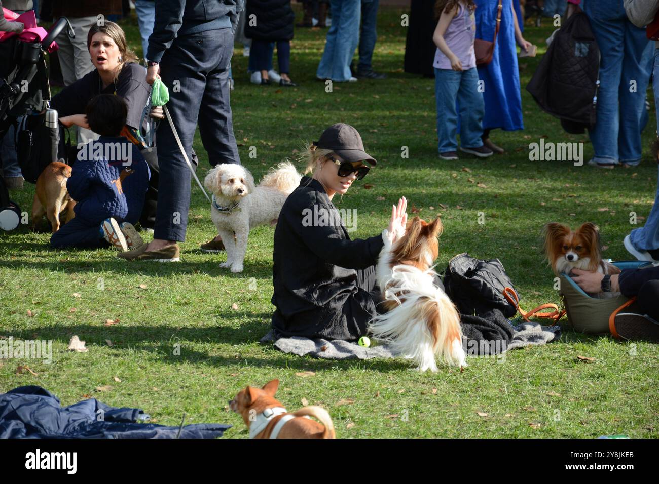 Chelsea Dog Day 5th October 2024 Stock Photo - Alamy