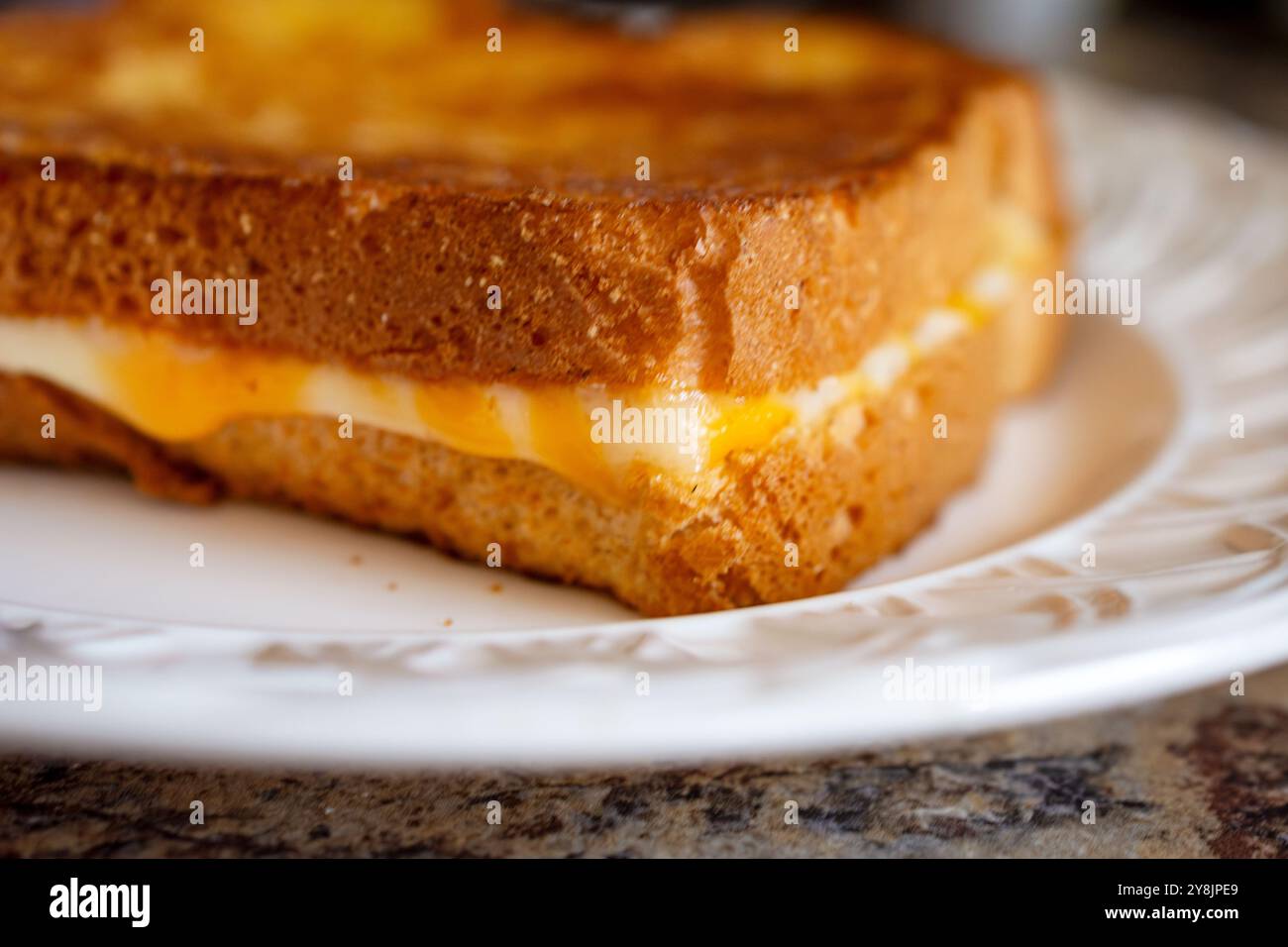 A hot grilled cheese on a white plate made at home with basic loaf ...