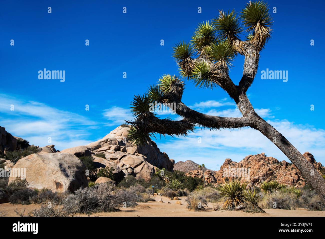 Hidden Valley Nature Trail, Joshua Tree National Park, California. It ...