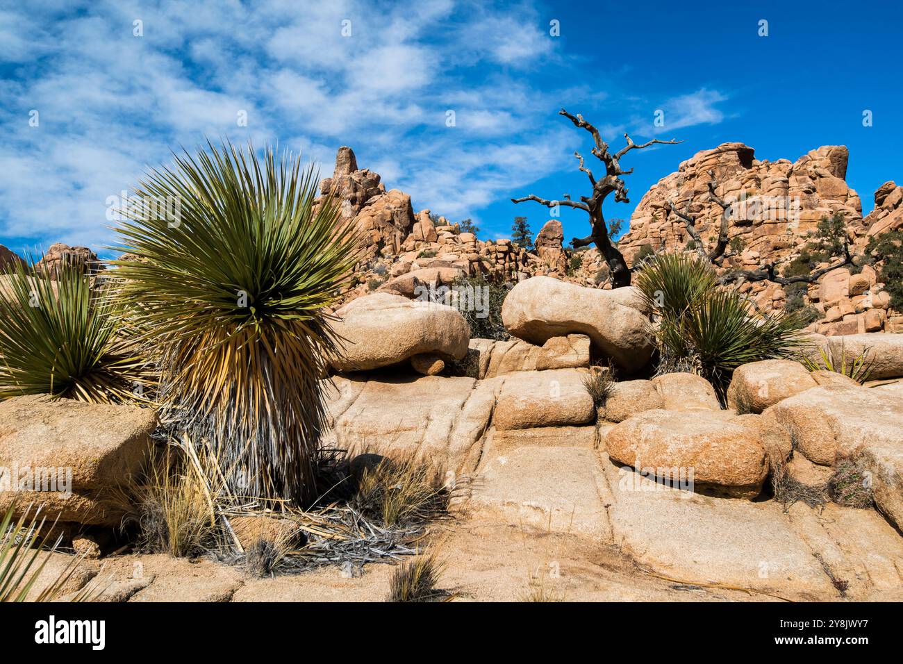 Hidden Valley Nature Trail, Joshua Tree National Park, California. It ...