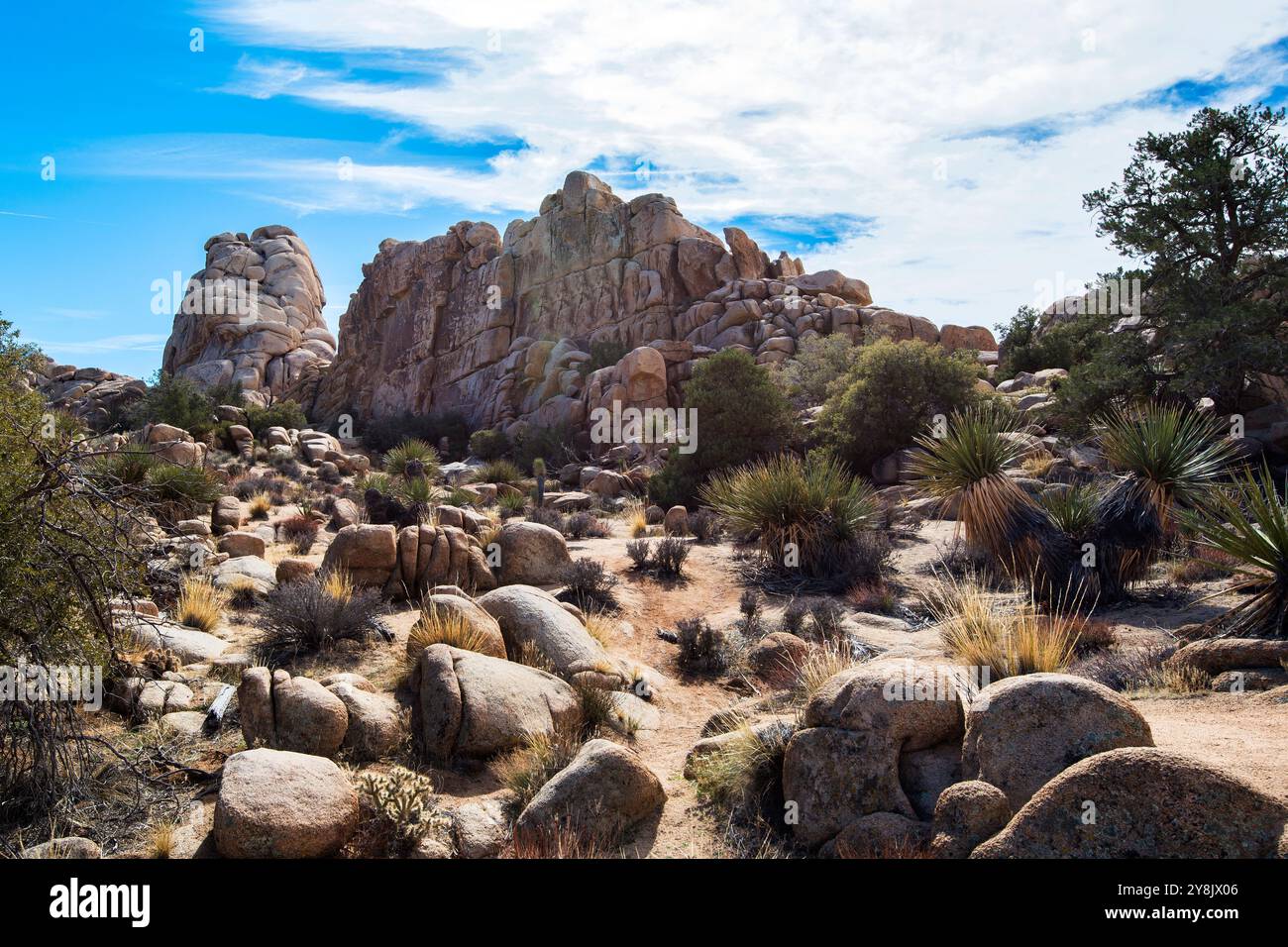 Hidden Valley Nature Trail, Joshua Tree National Park, California. It ...