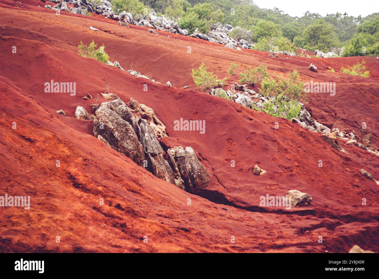 Vast Red Sand Dunes Stock Photo - Alamy