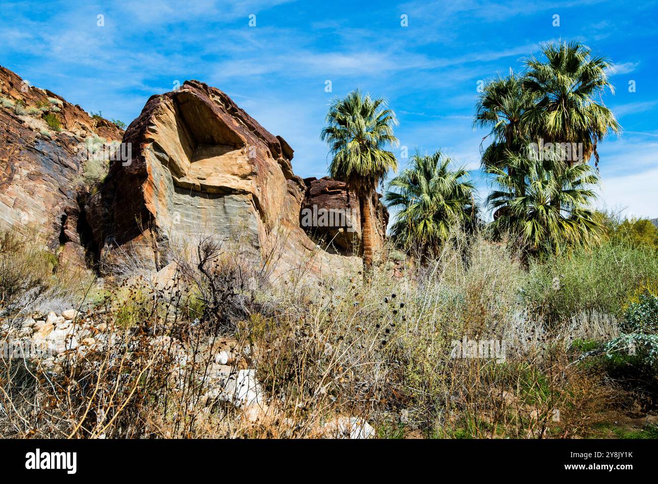 Murray Canyon Trail, Indian Canyons, Palm Springs. A tranquil desert ...
