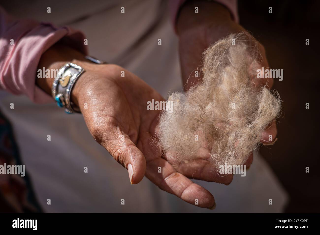 A Navajo woman displays wool that will be spun into yarn for weaving ...