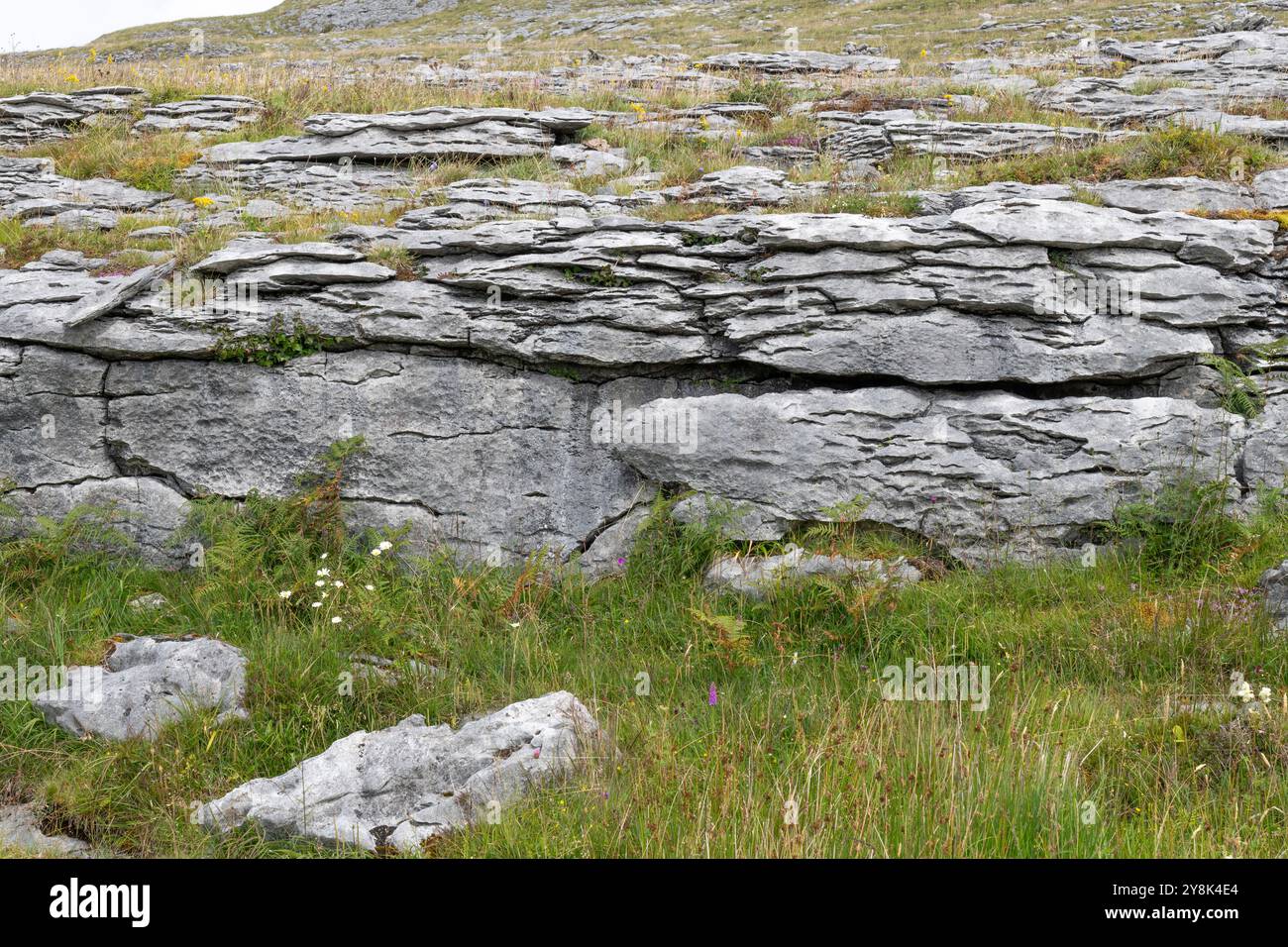 Ancient Stone Walls Across the Rocky Burren Landscape Stock Photo - Alamy
