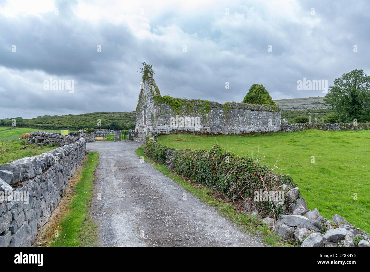 Rathborney Abandoned Church Ruins with Ivy Overgrowth and Stormy Skies ...