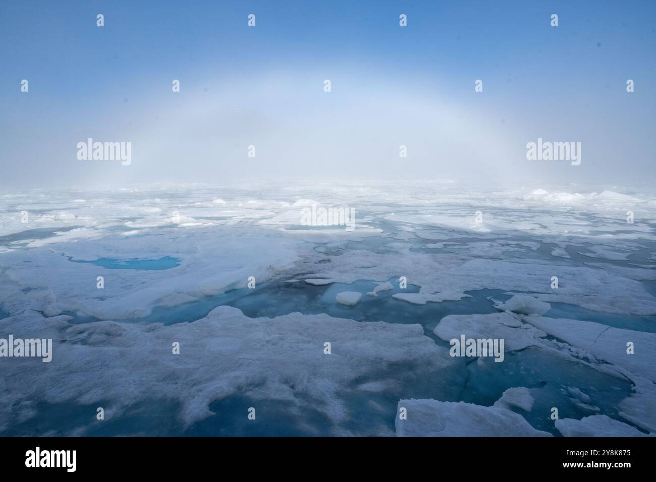 Fogbow over sea ice, east greenland Stock Photo - Alamy