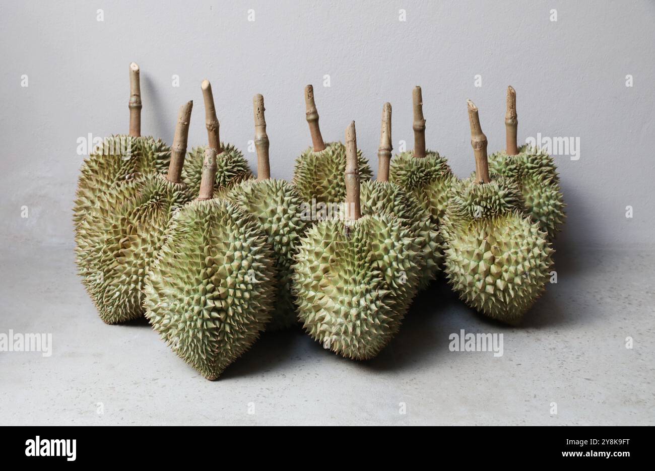 Village durian hi-res stock photography and images - Alamy