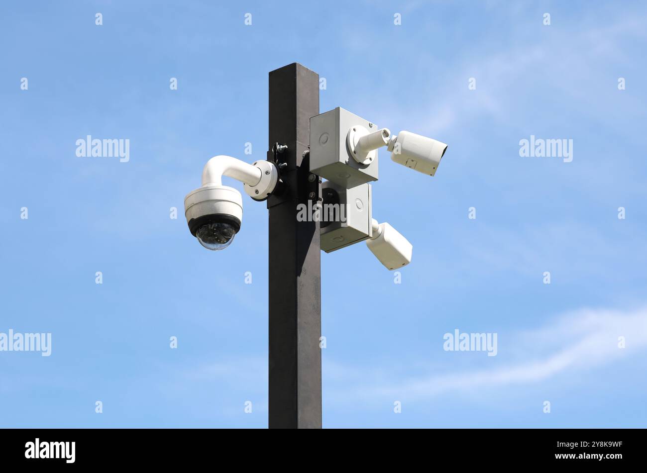 Tree security cameras on pole with blue sky background Stock Photo - Alamy