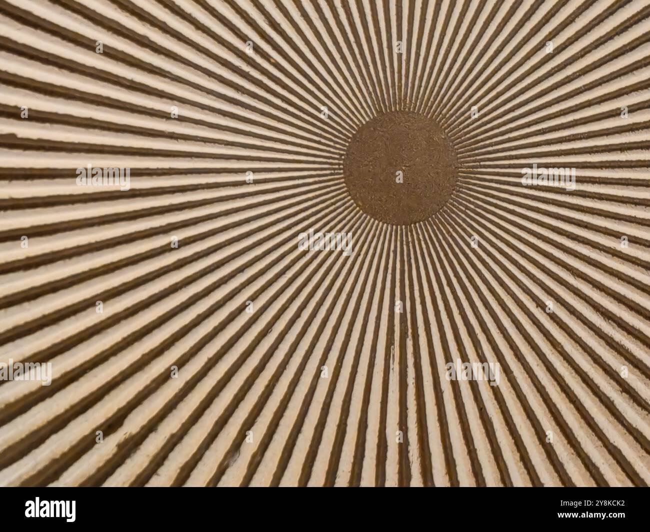 Vertigo Concept: Round Sun Imagery on Brown Wall Stock Photo - Alamy