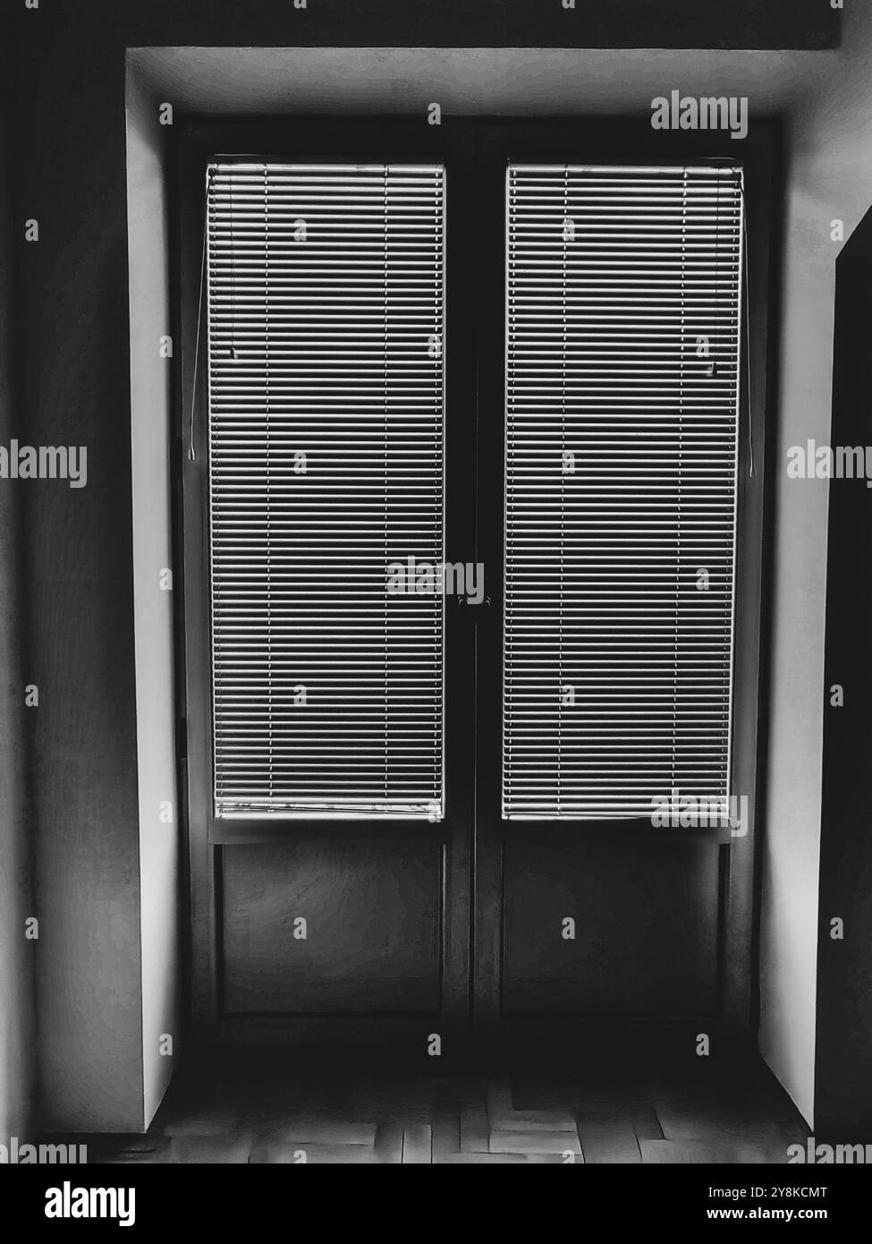 Blinds in Black and White: Double Door with Light Entering Through ...