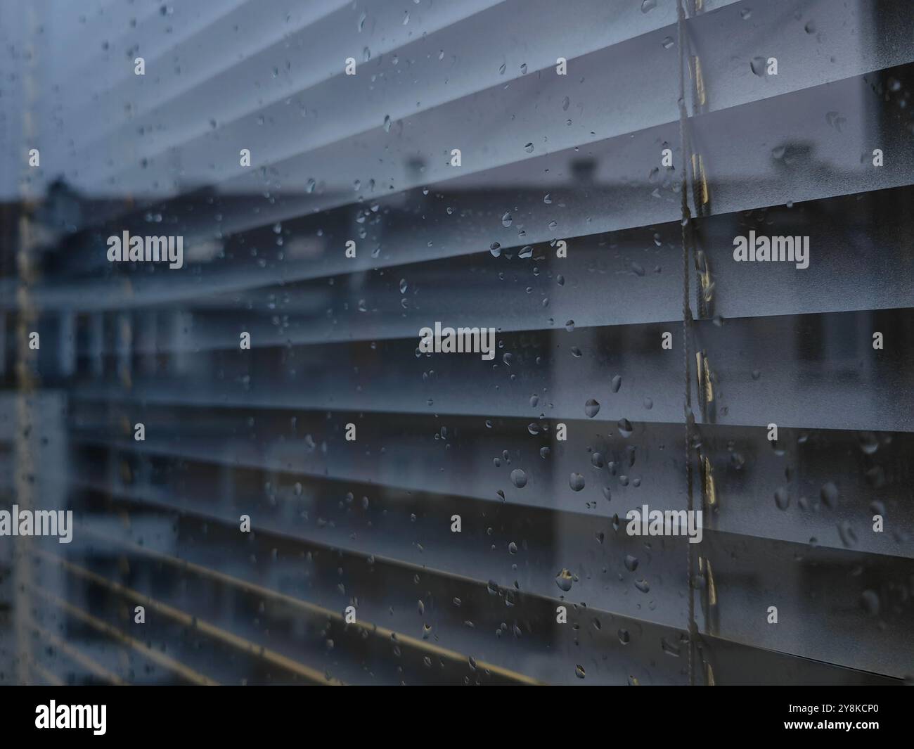 Rainy Morning Through Wet Blinds: Curved Lines and Droplets on the ...