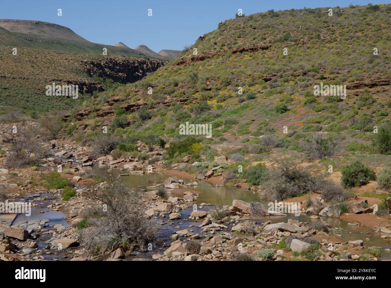 Doring River near Botterkloof Pass near Clanwilliam, Namaqualand as ...
