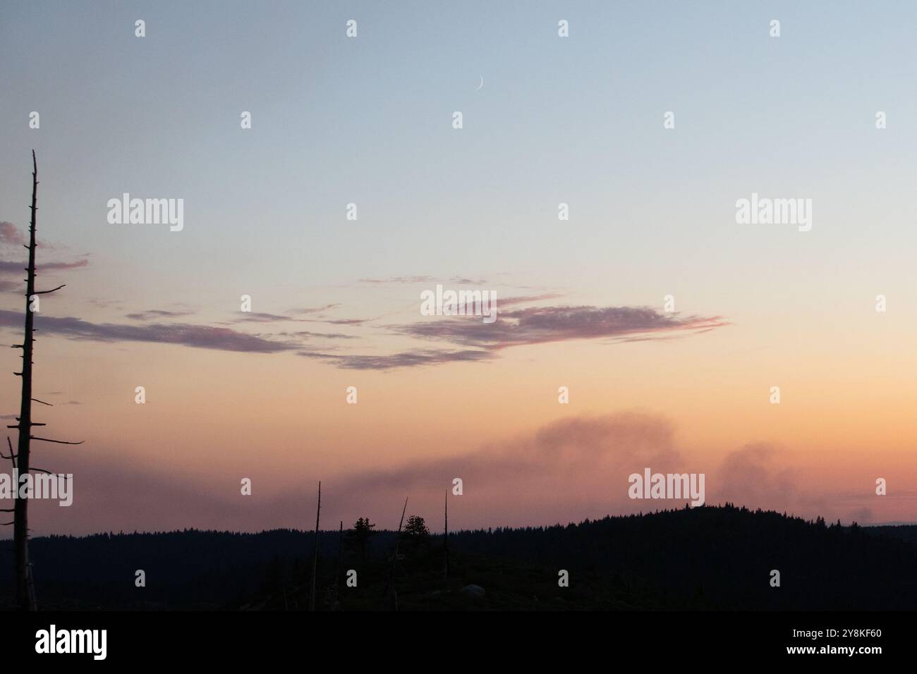 Dutch Flat, USA. 05th Oct, 2024. A fast moving wildfire prompted ...