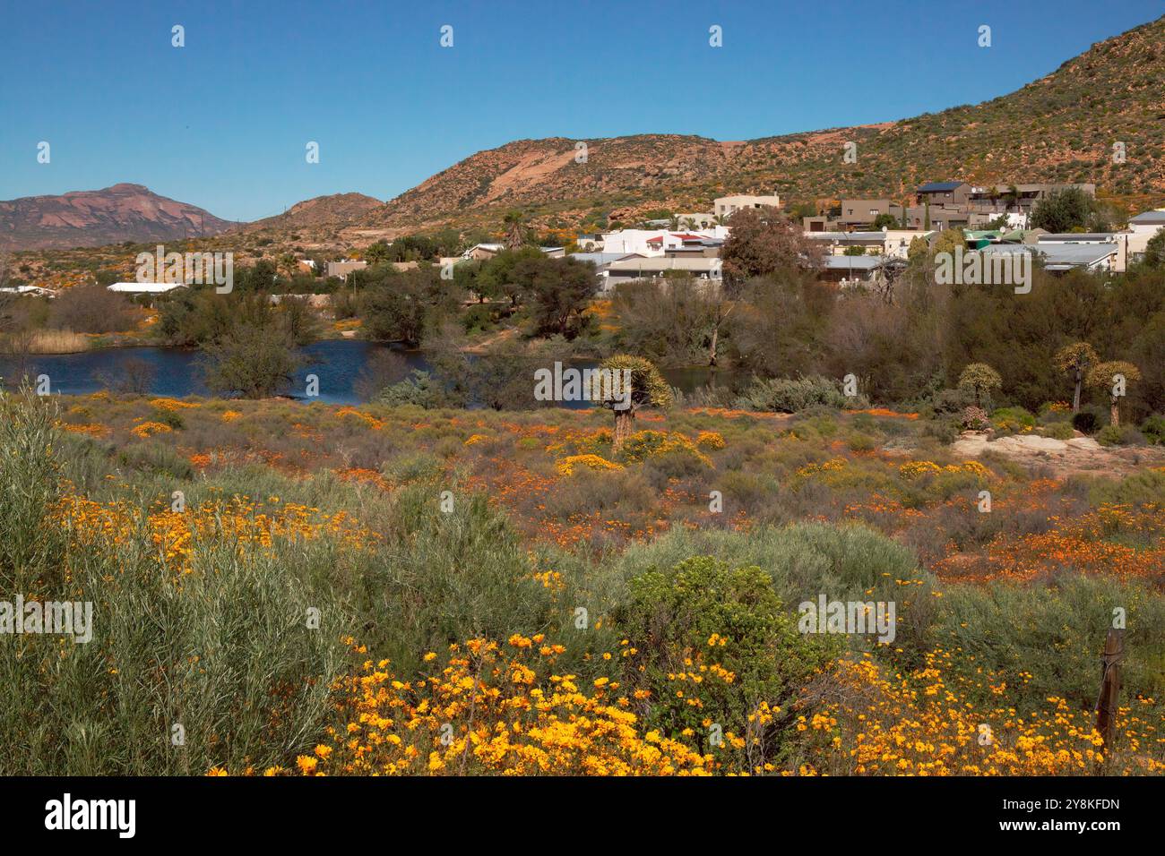 Springbok dam hi-res stock photography and images - Alamy