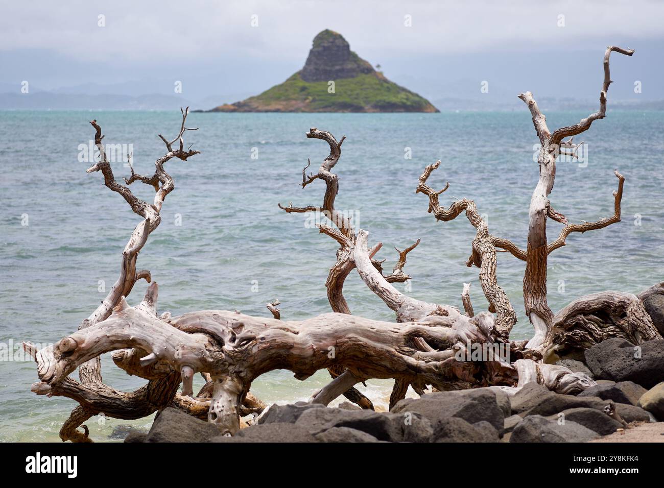 Mokolii island in hawaii hi-res stock photography and images - Alamy
