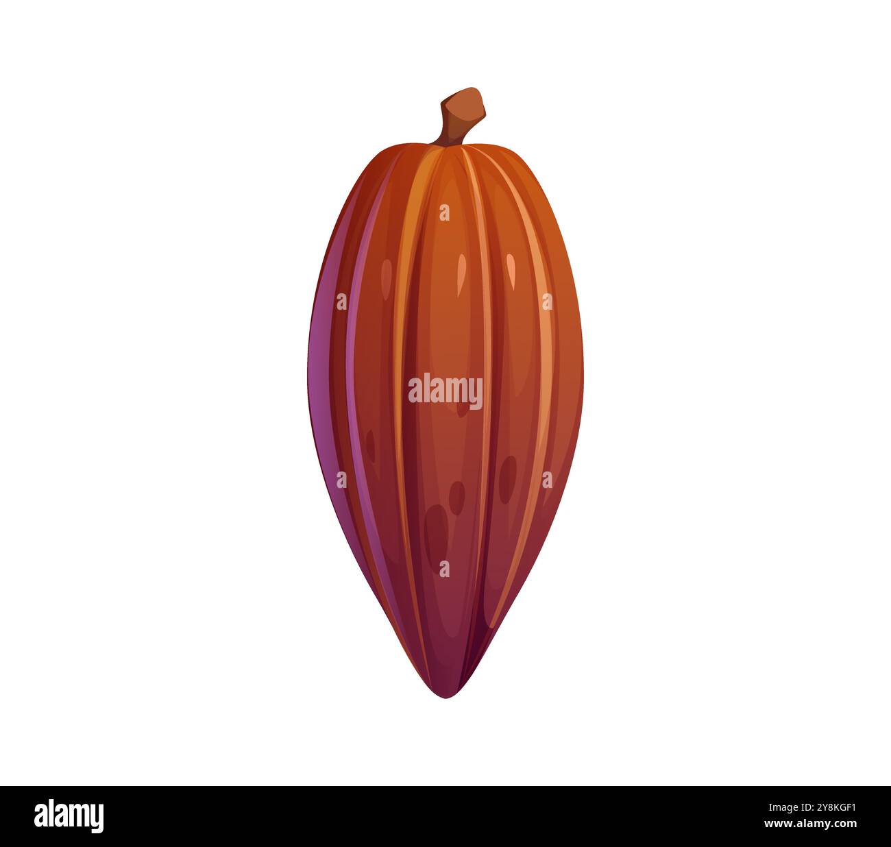 Cartoon cocoa pod or bean with rich brown color and ribbed texture ...