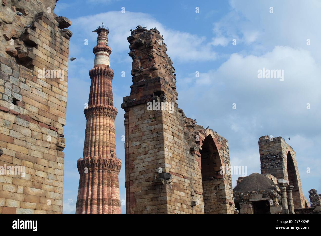 Delhi, India. Islamic minaret among historical ruins Stock Photo - Alamy