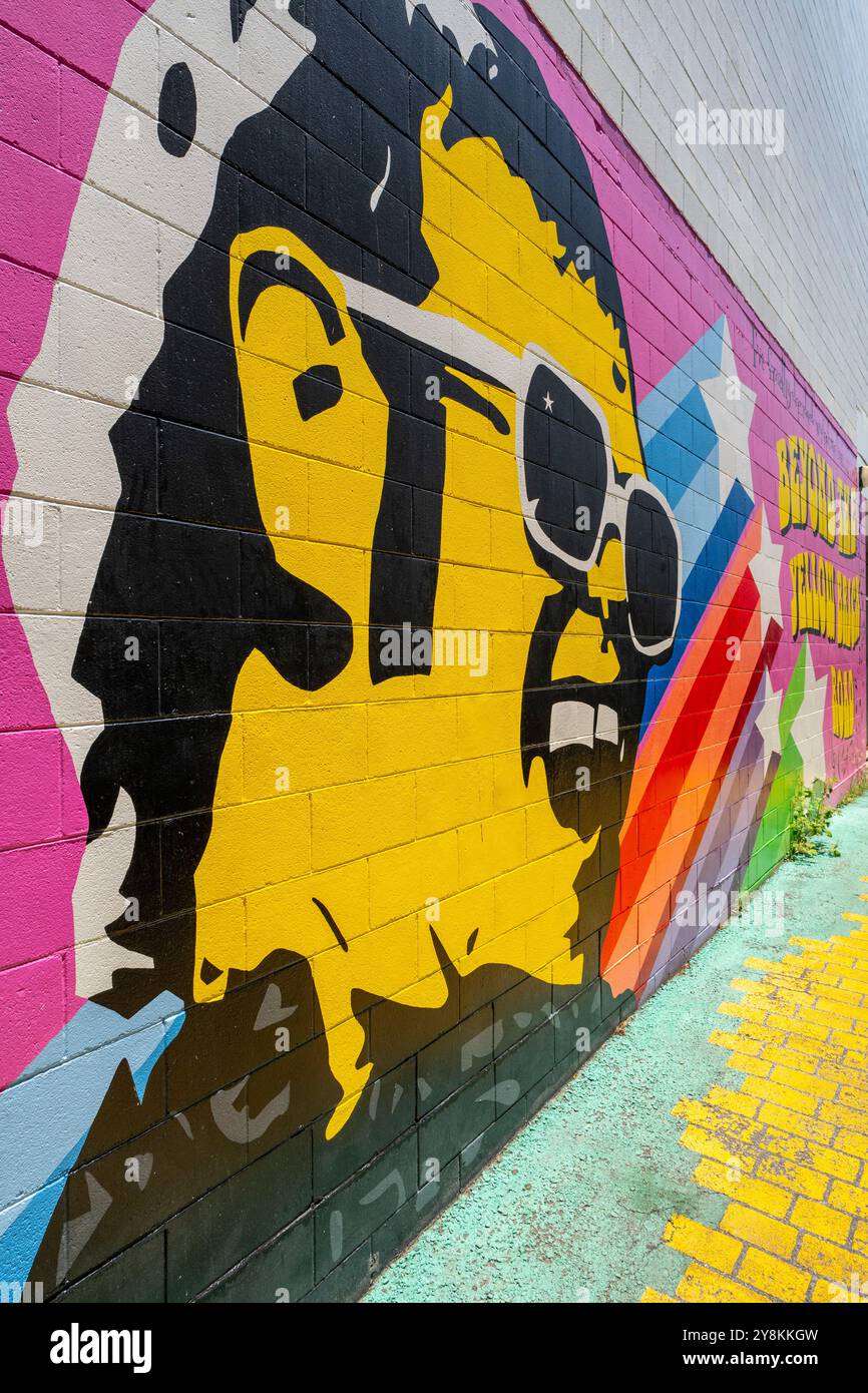 Beyond The Yellow Brick Road mural in Mackay, queensland, australia ...