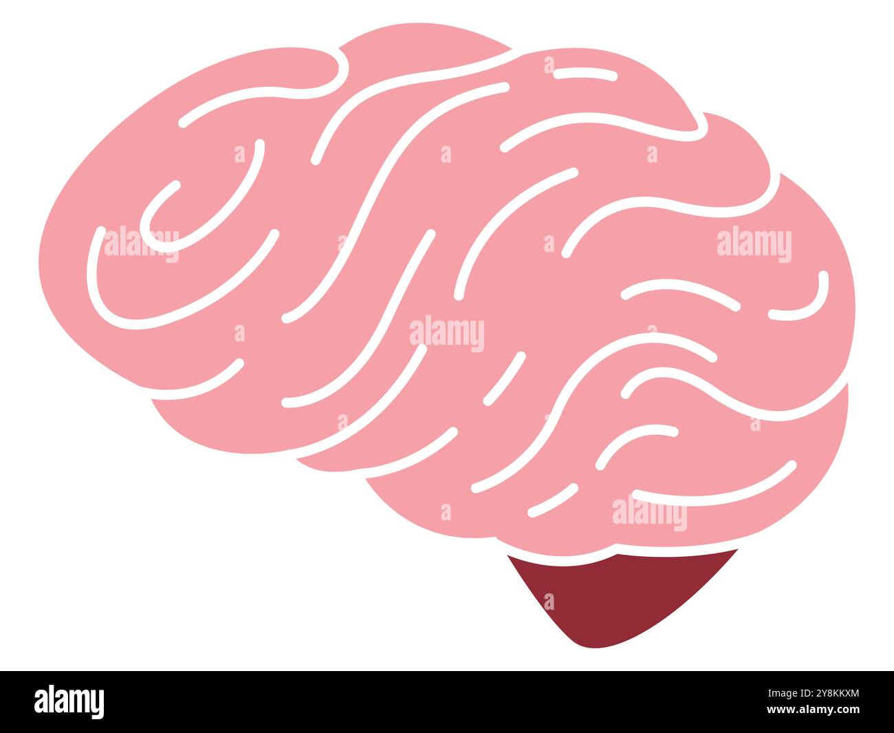 Brain mind human organ colored version anatomy science biology learning ...