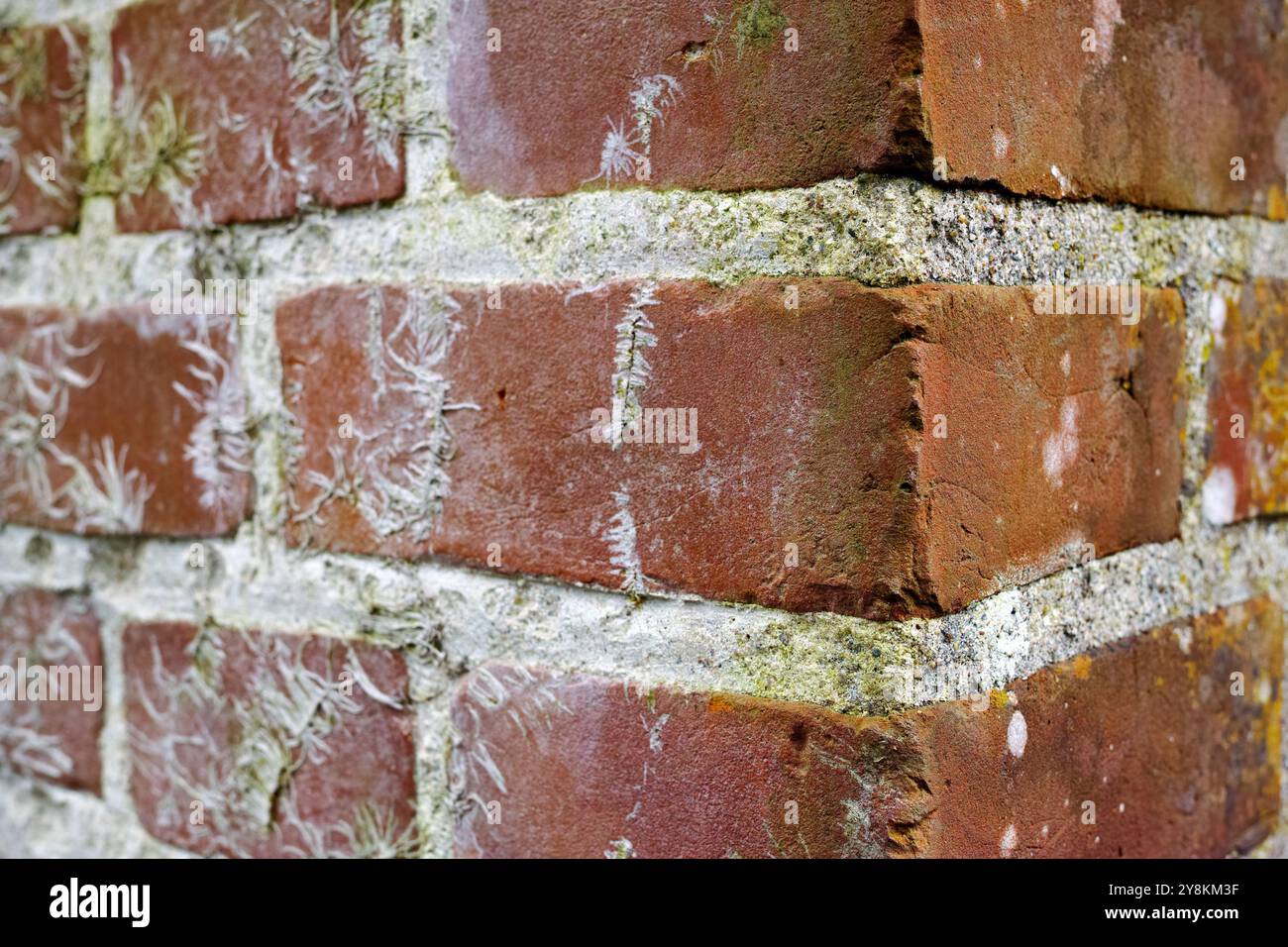 Brick wall, concrete and stone architecture in building for city ...