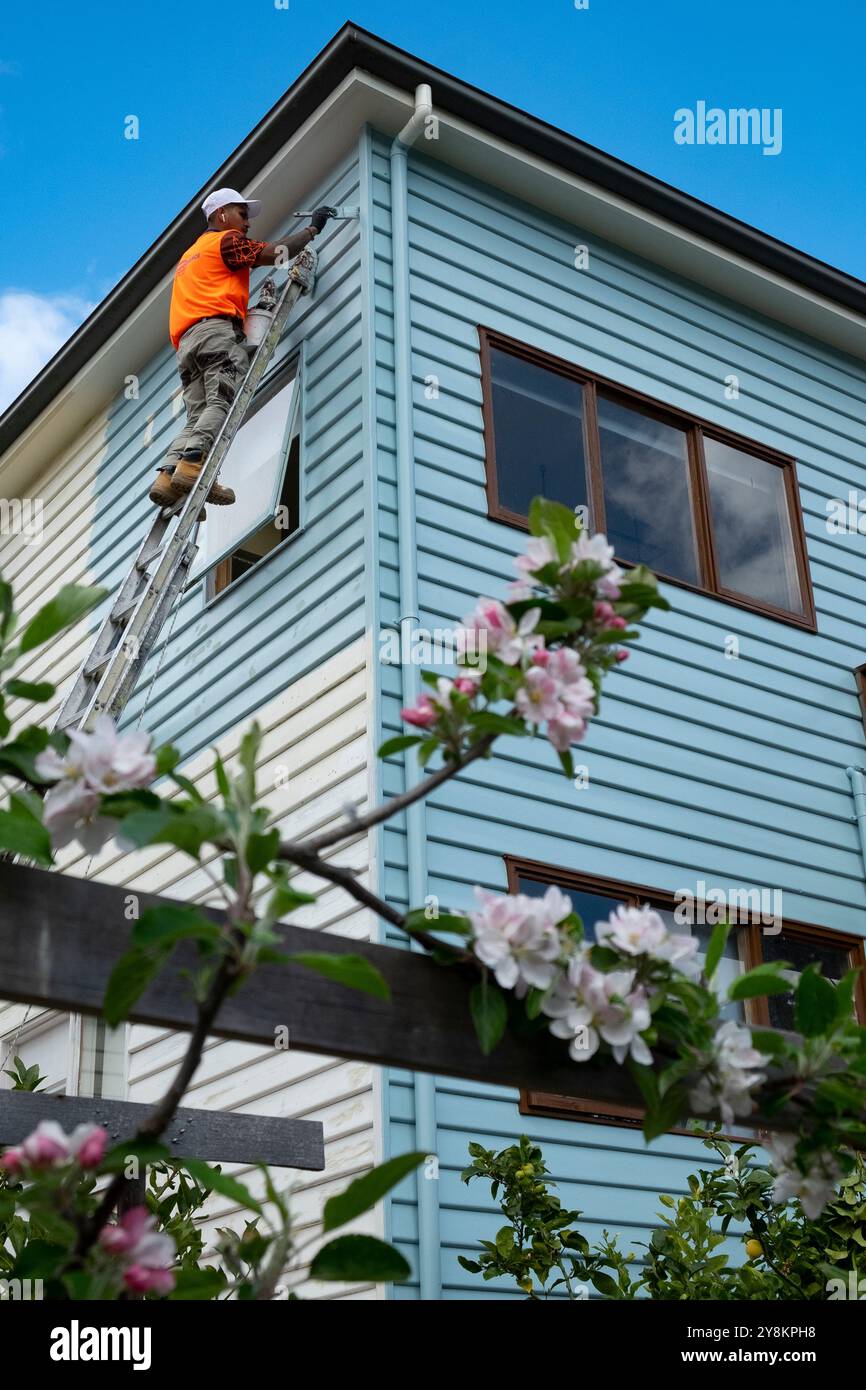 Painter on a ladder painting an old timber/weatherboard house Stock ...