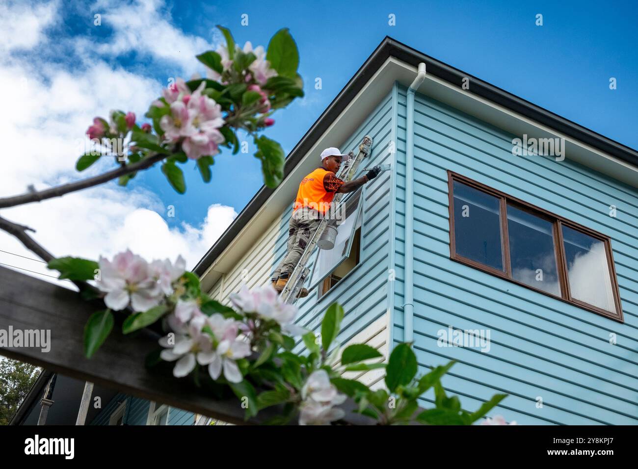 Painter on a ladder painting an old timber/weatherboard house Stock ...