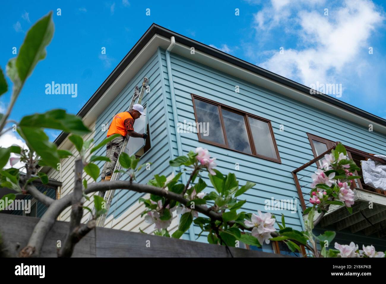 Painter on a ladder painting an old timber/weatherboard house Stock ...
