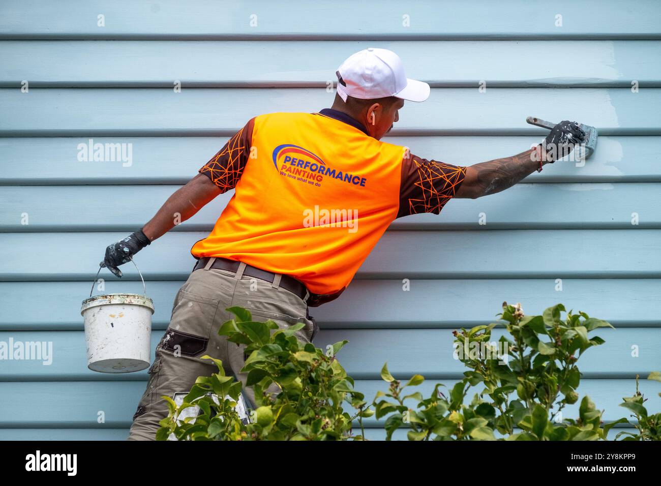 Painter on a ladder painting an old timber/weatherboard house Stock ...