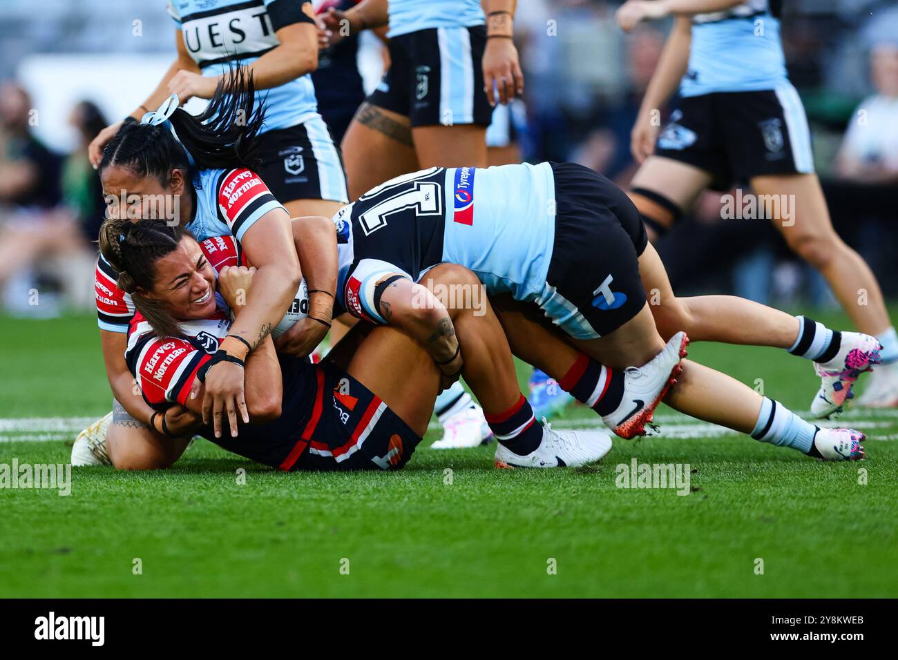 Sydney roosters 2024 hi-res stock photography and images - Alamy