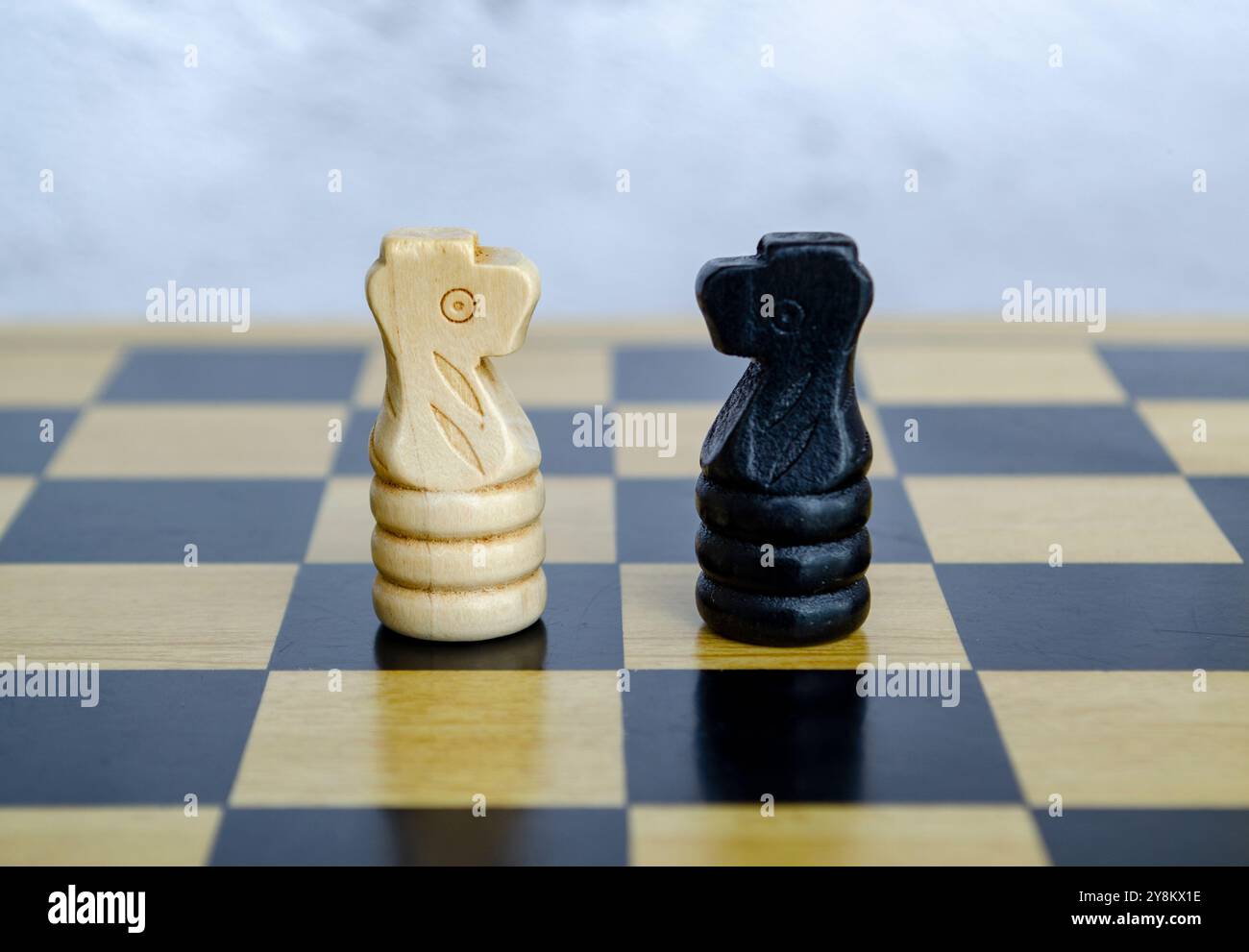 Battle against black and white knights to determine who is going to be ...