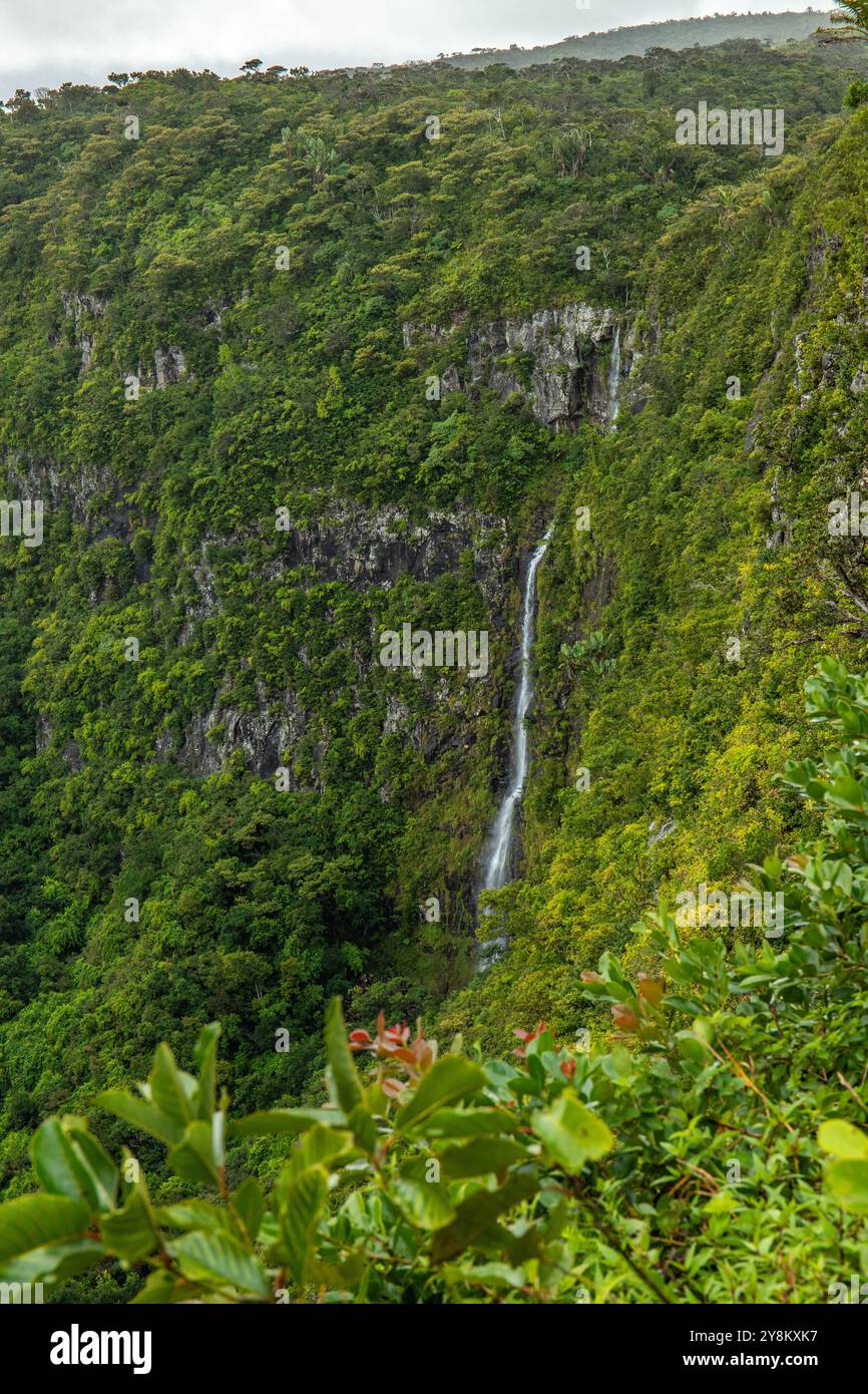 Viewpoint overlooking the jungle. Tropical vegetation, at the Gorges ...