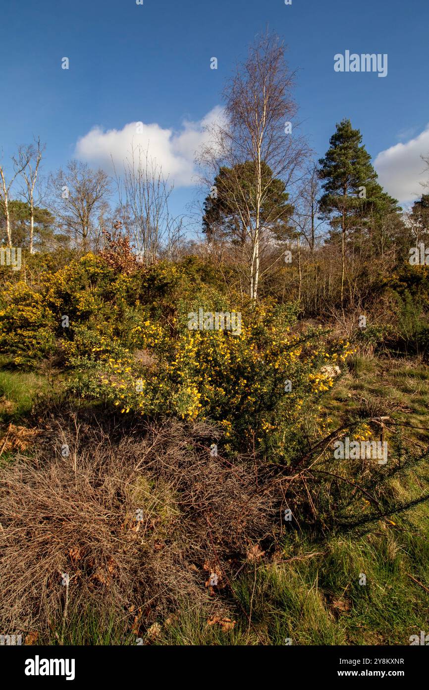 Boroughof hi-res stock photography and images - Alamy