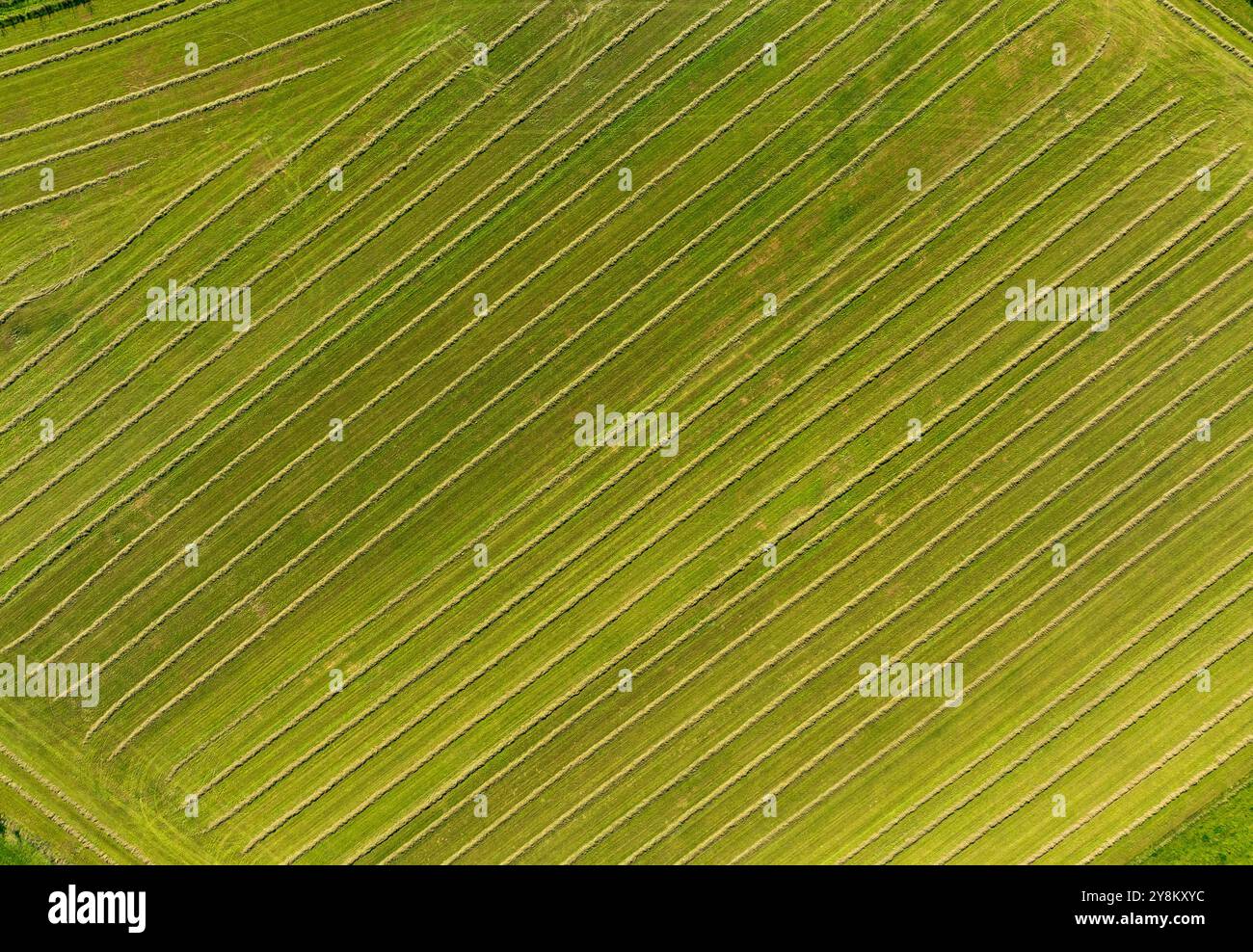 Top down view netherlands hi-res stock photography and images - Alamy