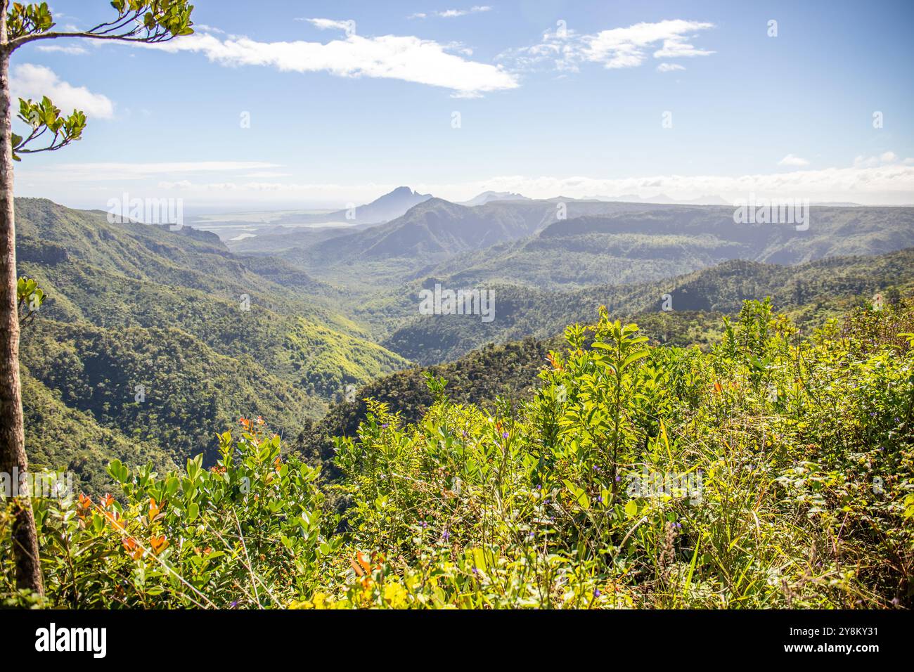 Viewpoint overlooking the jungle. Tropical vegetation, at the Gorges ...