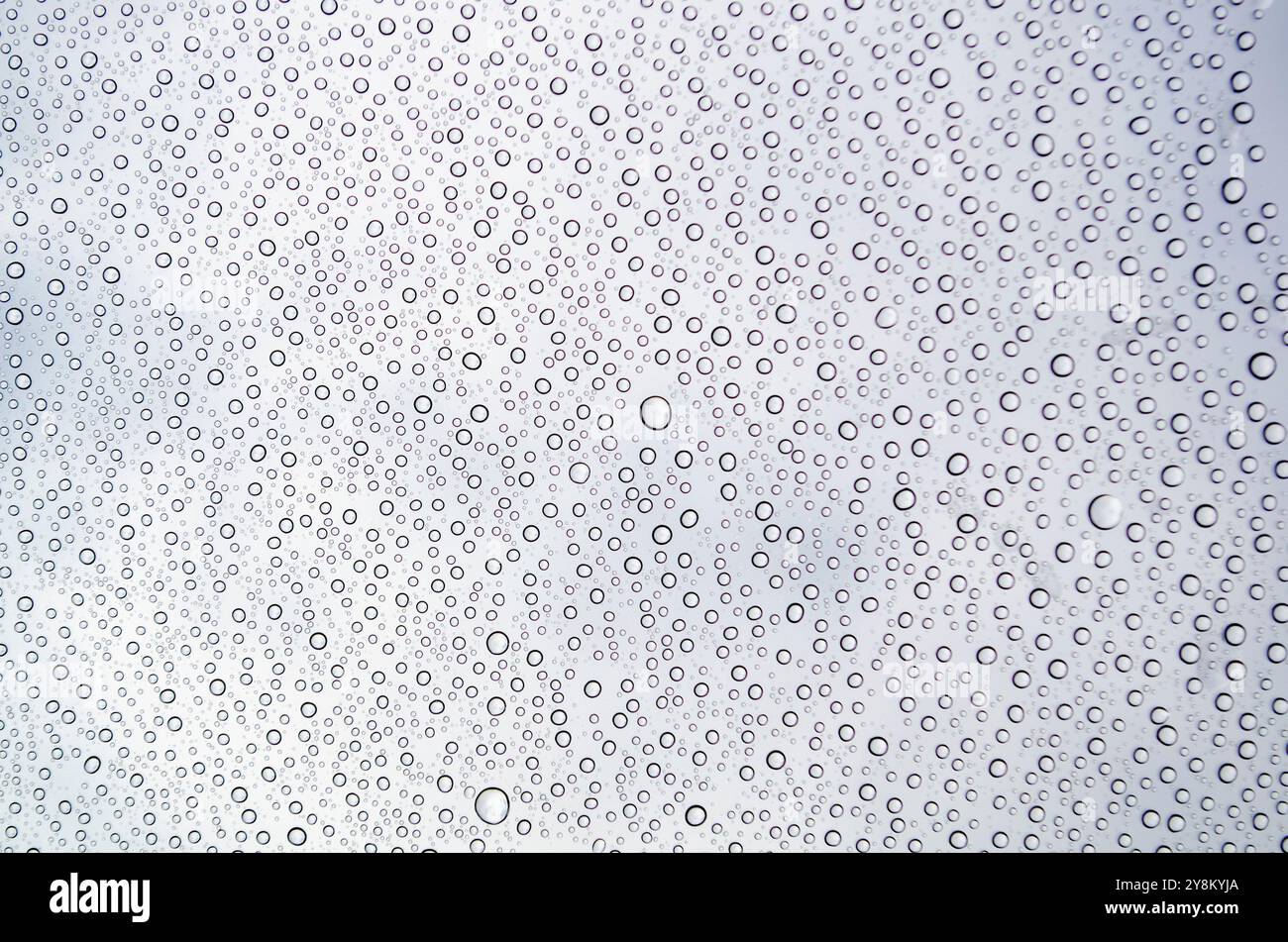 Close-up of droplets clustering on a glass surface after rain. Water ...