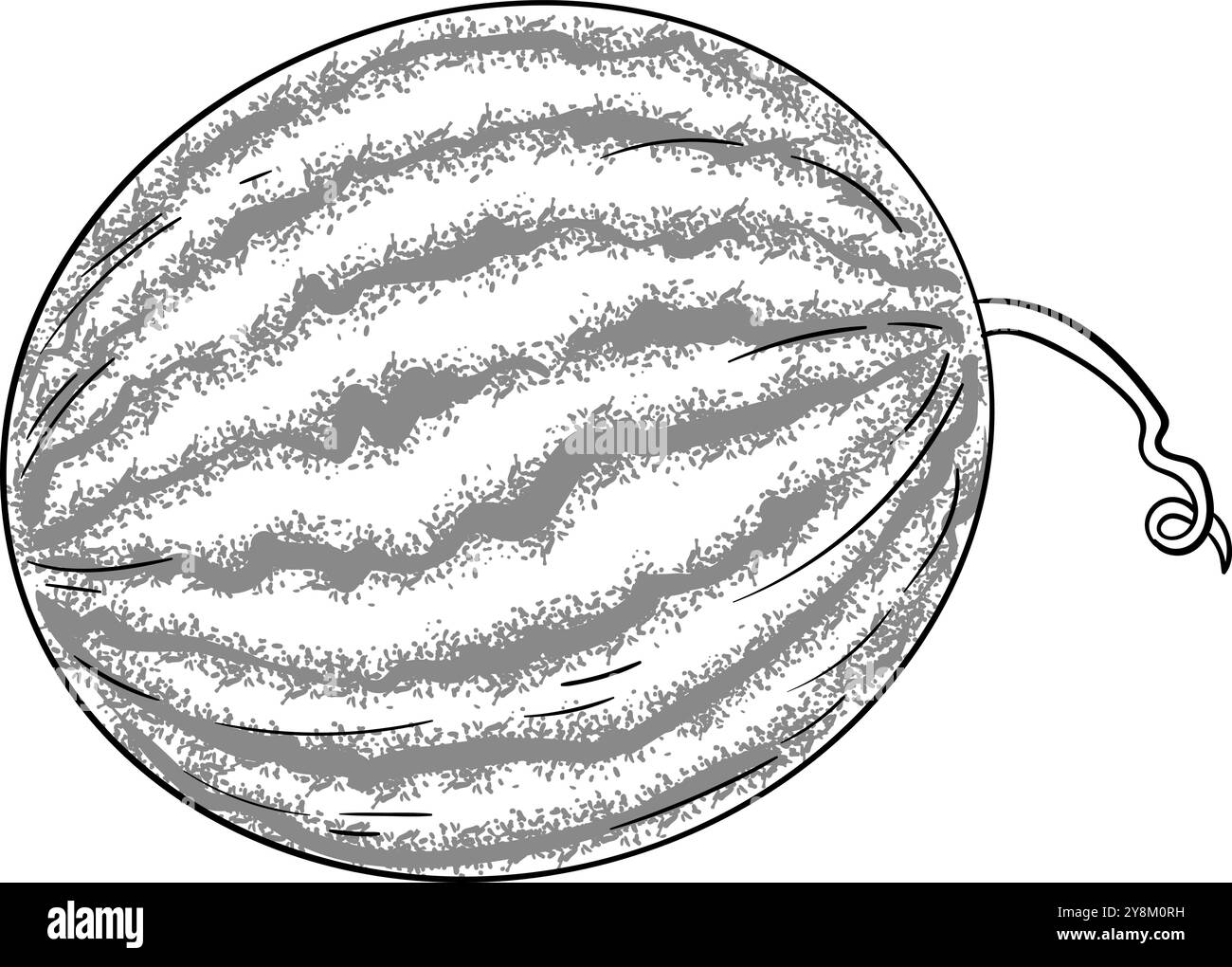 Watermelon Fruit Isolated Outline Illustration Stock Vector Image & Art ...