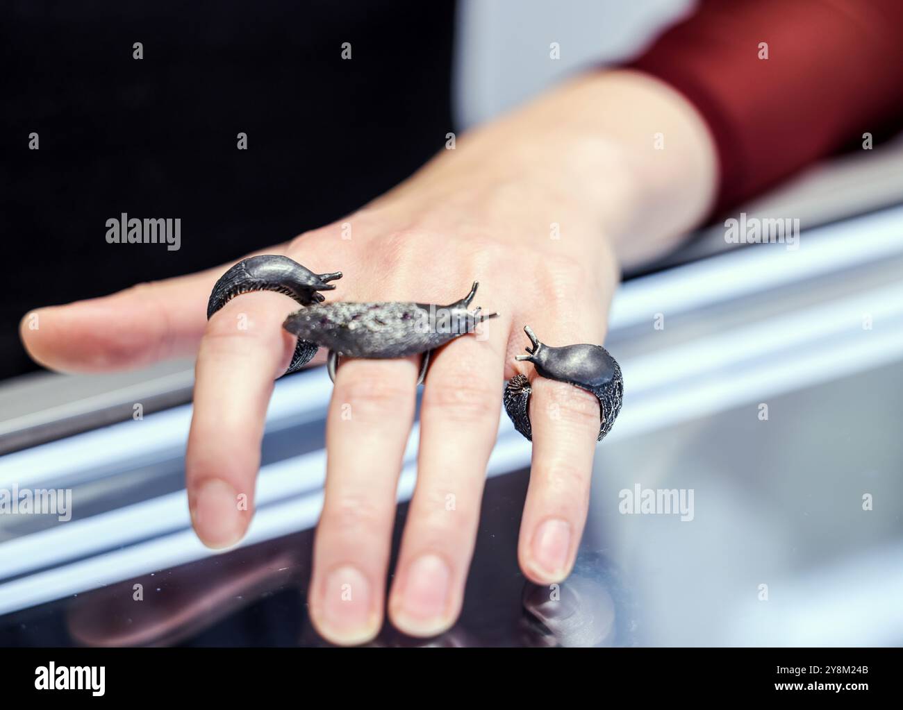 Slugs and snails uk garden hi-res stock photography and images - Alamy
