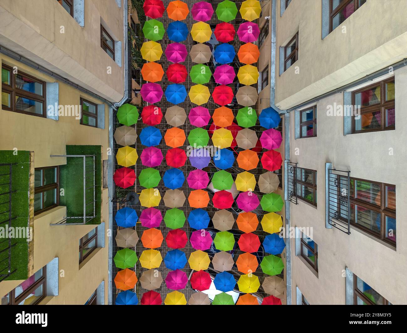 Vibrant Overhead Display of Multicolored Umbrellas Hanging Between Two ...