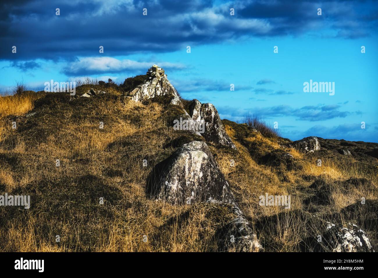 The landscape features rugged rocks scattered amidst tall golden ...