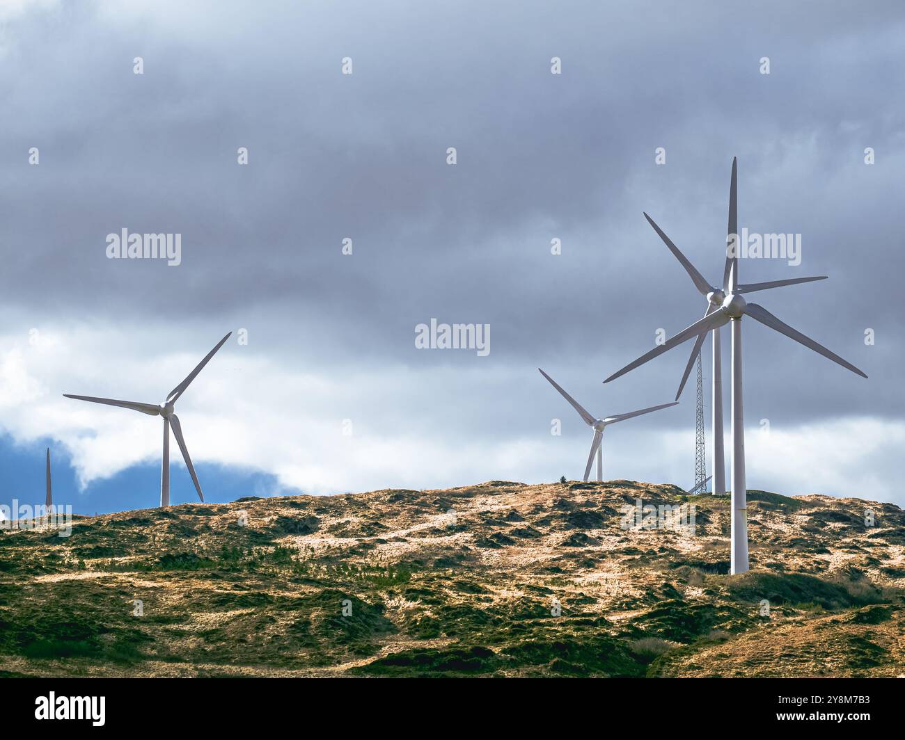 The wind turbines are a testament to the power of technology, a force ...