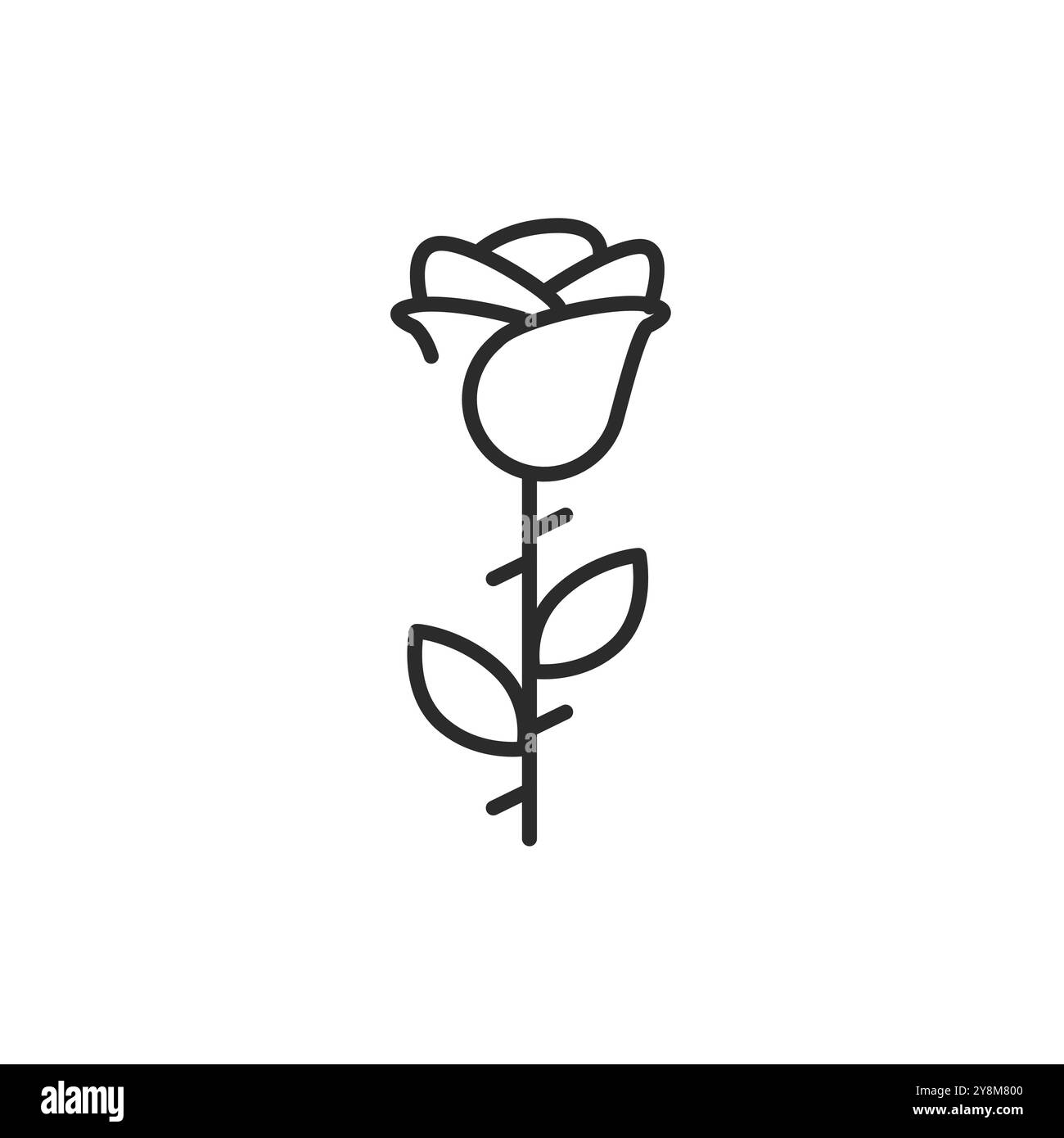 Cultural rose Stock Vector Images - Alamy