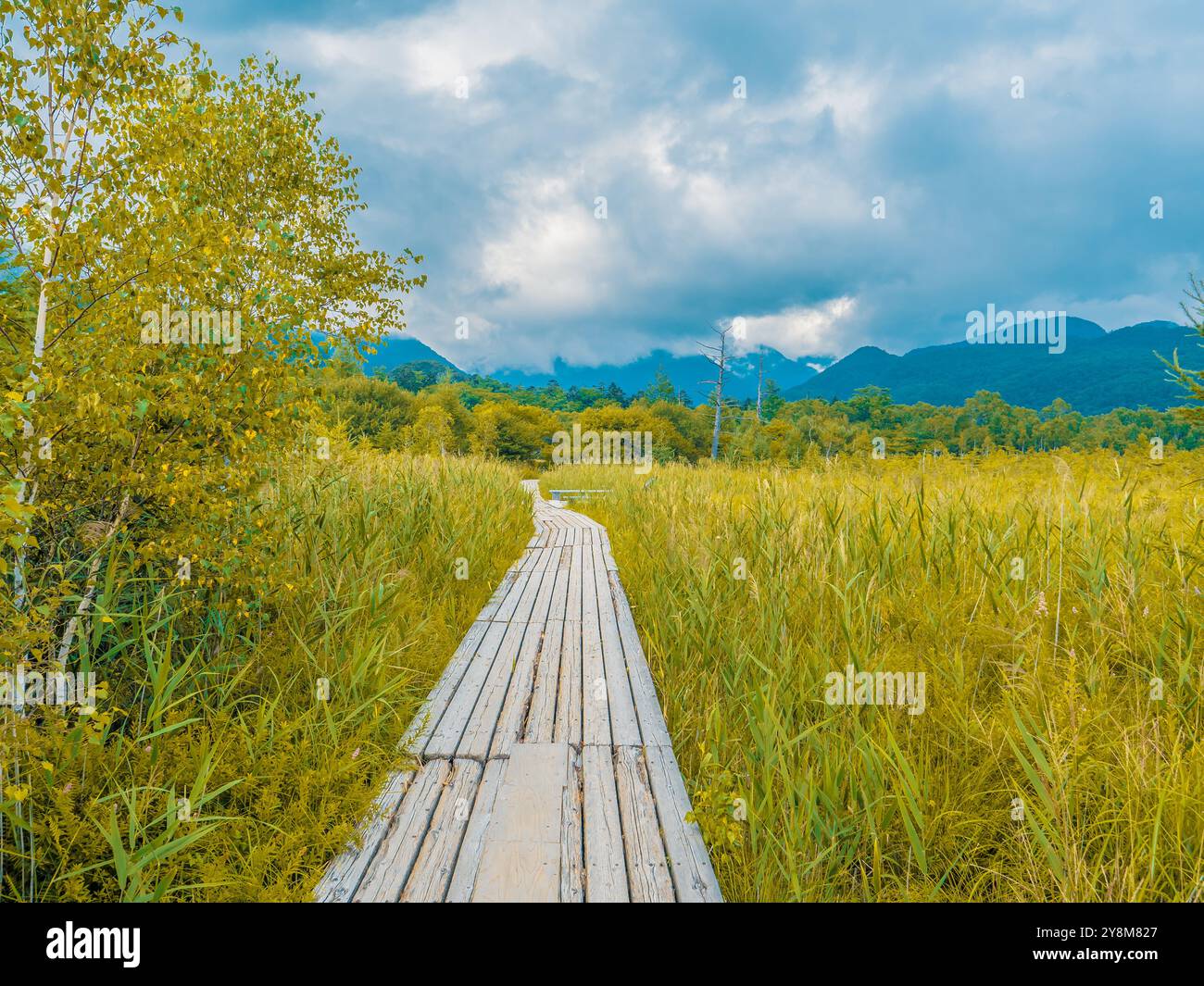 Wooden hiking trail at Senjogahara Marshland, Nikko Stock Photo - Alamy